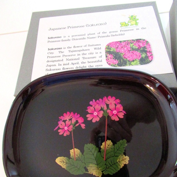 Sakuraso Lacquerware | Accents | Authentic Japanese Lacquerware Plates ...